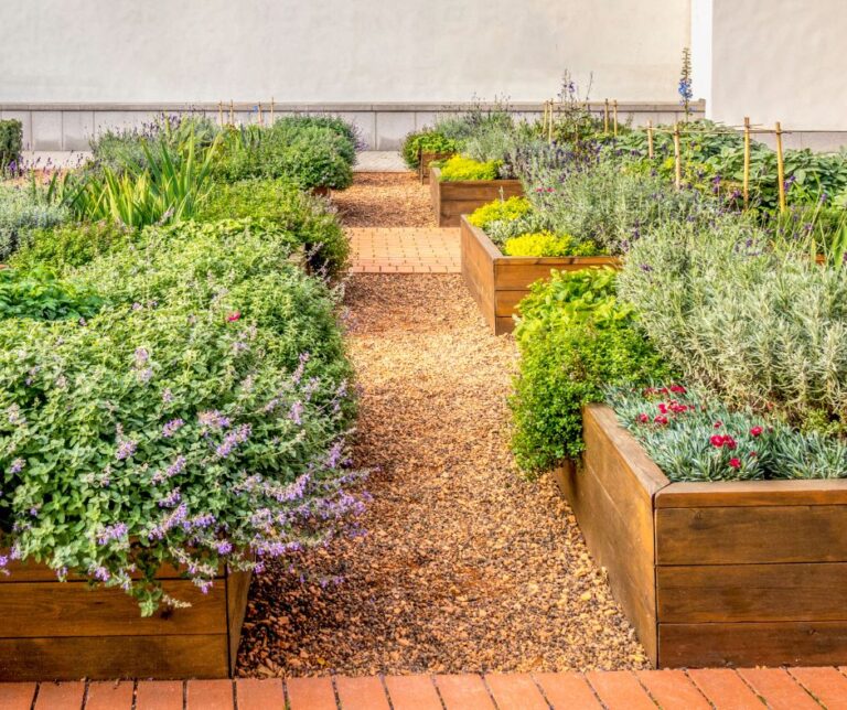 The 7 Best No-Grass Backyard Landscaping Ideas for 2024
