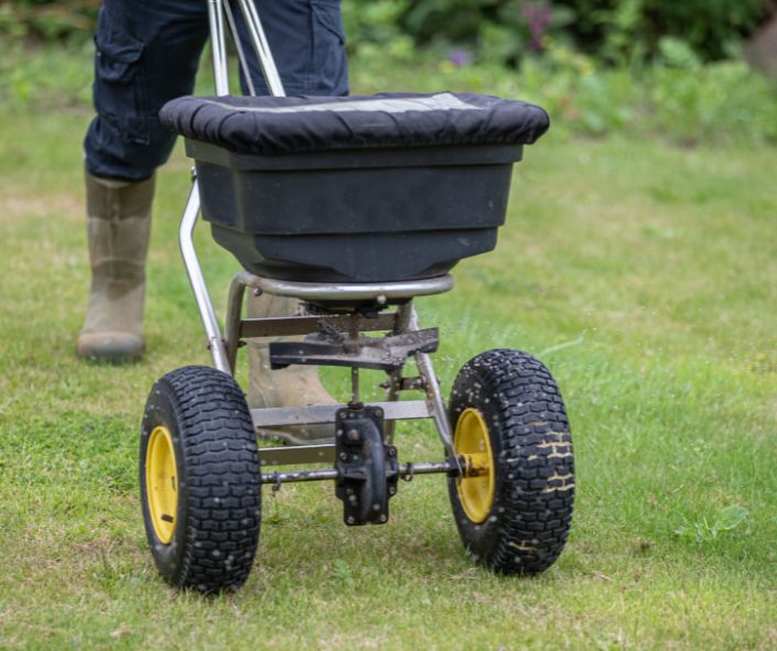 Spring Lawn Seeding: A Comprehensive Guide for a Healthy Green Lawn