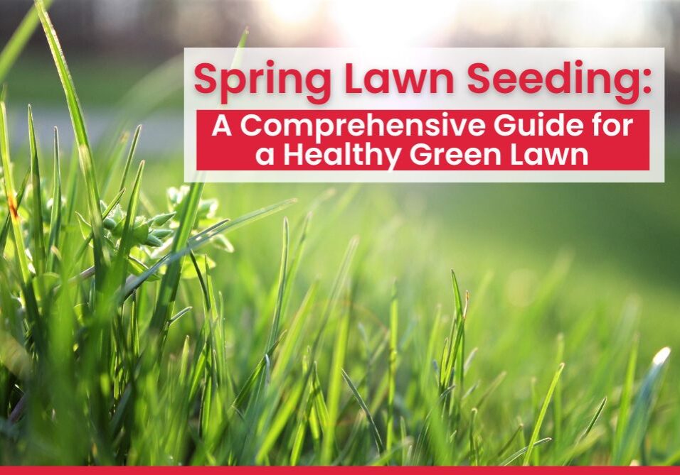 DIY Home Maintenance Tips to Prevent Costly Repairs